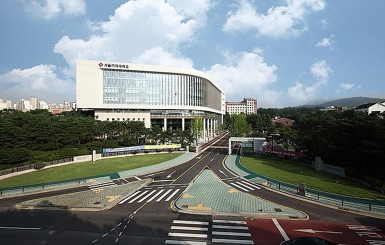 Education - Cloudike